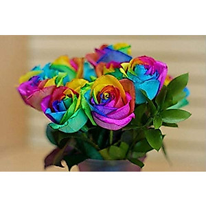 50+ Rare Multi Colorful Rainbow Rose Flower Seeds Beautiful Flower Potted Plant Home Garden