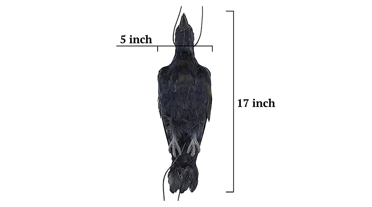 Etistta 17" Realistic Dead Crow Decoy | Outdoor Bird Control