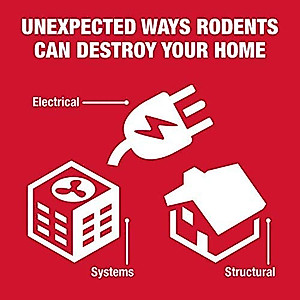 Instant Kill Mouse Snap Traps by Catchmaster - 12 Count, Ready for Use Indoors & Outdoors. Wood Double-Tension Springs Weather-Resistant Corrosion-Resistant Disposable Poison-Free Non-Toxic