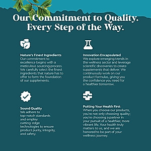 Free Form L Tyrosine 500mg Capsules - High Strength L-Tyrosine Supplement for Mental Energy and Focus Support - Amino Acid Nootropic Supplement for Mood Focus Attention and Cognitive Performance