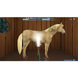 My Riding Stables - Life with Horses - Nintendo Switch