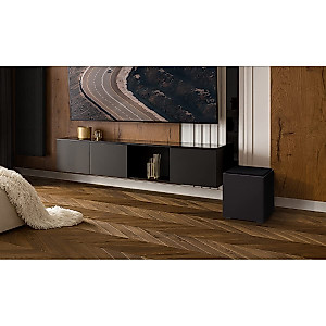 Definitive Technology Descend DN10 10" Subwoofer - Digitally Optimized for Movies and Music, New 3XR Architecture, 500W Peak Class D Amplifier & (2) Pressure-Coupled 10" Bass Radiators, Black