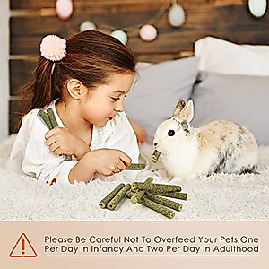 Bissap Timothy Hay Sticks for Rabbits 38PCS, Natural Timothy Grass Molar Teeth Stick Chew Toys for Bunnies Chinchillas Guinea Pigs Hamsters and Other Small Animals Treats