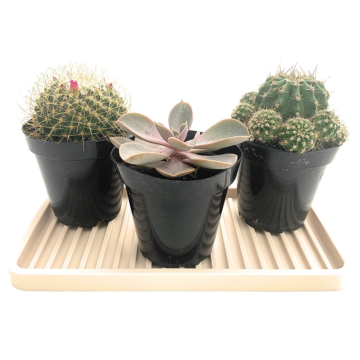 Happitasa Silicone Kitchen Sink Organizer Tray, Sponge Holder and Countertop Protector | Straight Lines Style (SAND DOLLAR, 10"x5.25")