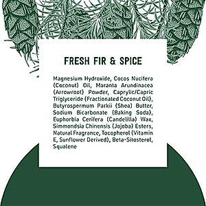 Schmidt's Aluminum Free Natural Deodorant Fresh Fir & Spice 2-pk for Women and Men, with 24 Hour Odor Protection, Certified Natural, Cruelty Free, Vegan Deodorant 2.65oz