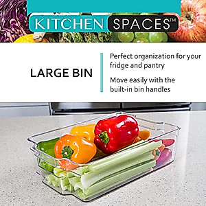 Kitchen Spaces KSL12-AMZ Large Bin Food Storage Organizer for Fridge and Pantry, 14.1" x 8.4" x 3.9", Clear