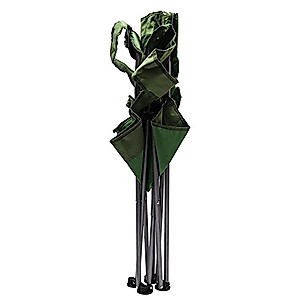 WFS Camping Quad Chair, Green