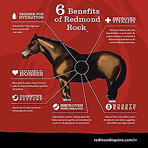 REDMOND - Rock on a Rope Unrefined Salt Rock for Horses 3 to 5 lbs (3 Pack)