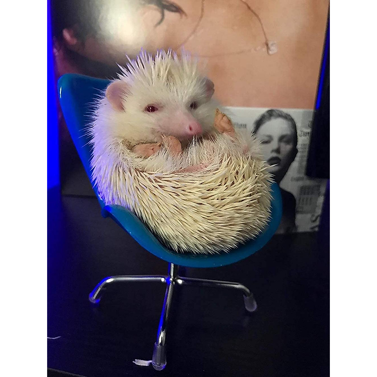 Hedgehog Chair Mini Plastic Swivel Seat Small Animal Toys Habitat Decor Cage Accessories Hedgehog Supplies Photo Props Chair Toy for Hedgehog,Bird,Parrot,Mouse,Chinchilla, Rat,Gerbil,Dwarf Hamster