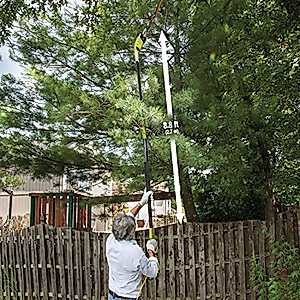 Sun Joe SWJ803E 10 inch 8.0 Amp Electric Multi-Angle Pole Chain Saw, Green