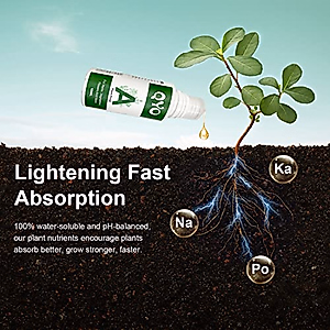 QYO Base A & B Nutrients(200ml in Total), Plant Growing Nutrient Plant Food for All Plants, All-Purpose Concentrated Fertilizer for Any Hydroponics System, Potted Houseplants, for Outdoor & Indoor