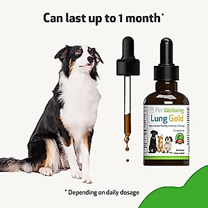 Pet Wellbeing Lung Gold for Dogs - Vet-Formulated - Lung & Respiratory Immune Support, Open Airways, Easy Breathing - Natural Herbal Supplement 2 oz (59 ml)