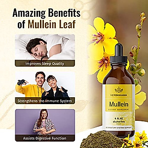 Mullein Leaf Tincture - Lung Cleanse - Vegan Mullein Drops - Lung Detox - Respiratory Health and Immune Support Drops - Natural Supplement Liquid Extract 4 fl.oz.