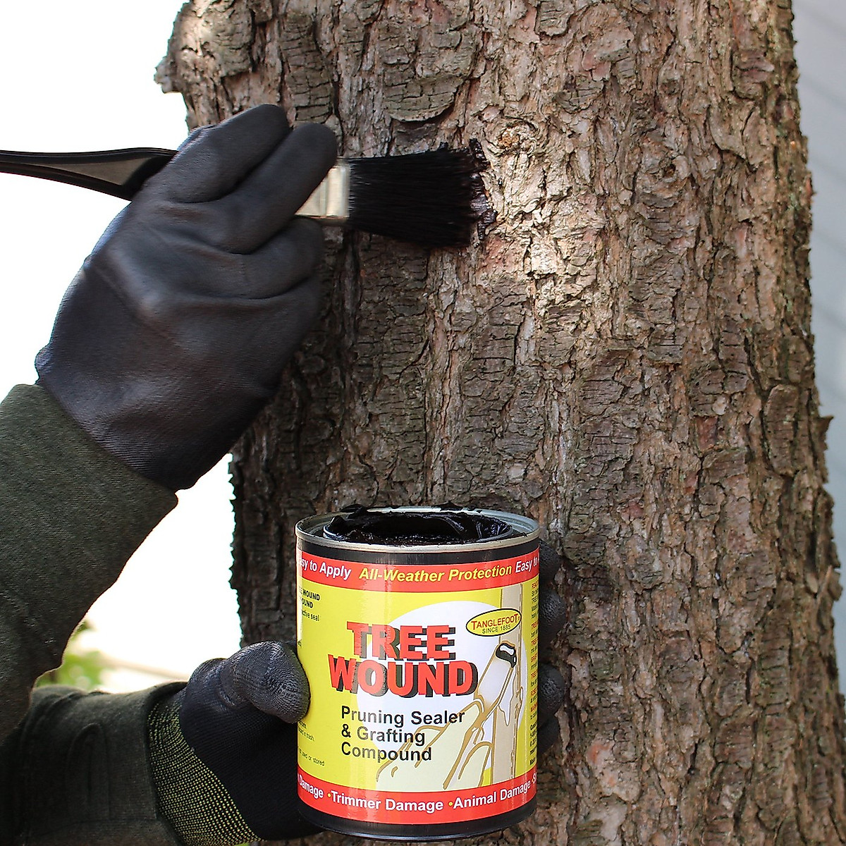Tanglefoot Tree Wound Pruning Sealer & Grafting Compound