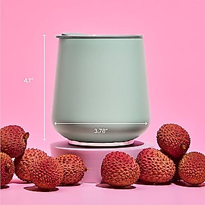 Fellow Ruby Wine Tumbler Set of 2 - ​​Insulated Stainless Steel Wine and Cocktail Tumblers with Ceramic Interior and Swivel Pebble Lid - 12 oz, Mint Chip