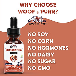 Dog Glucosamine - Supports Hip & Joint Health, & Much More - Glucosamine for Dogs Hip and Joint Supplement - Glucosamine for Dogs - Dog Joint Supplement - Glucosamine Chondroitin for Dogs - 1 fl oz