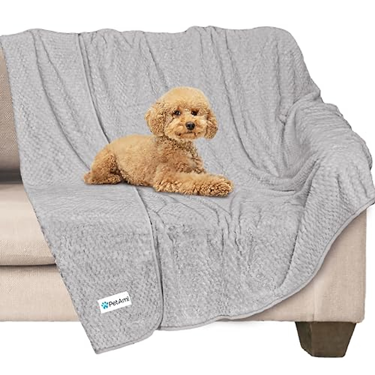 PetAmi Waterproof Dog Blanket, Leakproof Puppy Blanket for Medium Large Dogs, Furniture Sofa Couch Cover Protector, Fleece Pet Throw Indoor Cat Kitten, Reversible Washable Soft Plush, 40x60 Light Gray