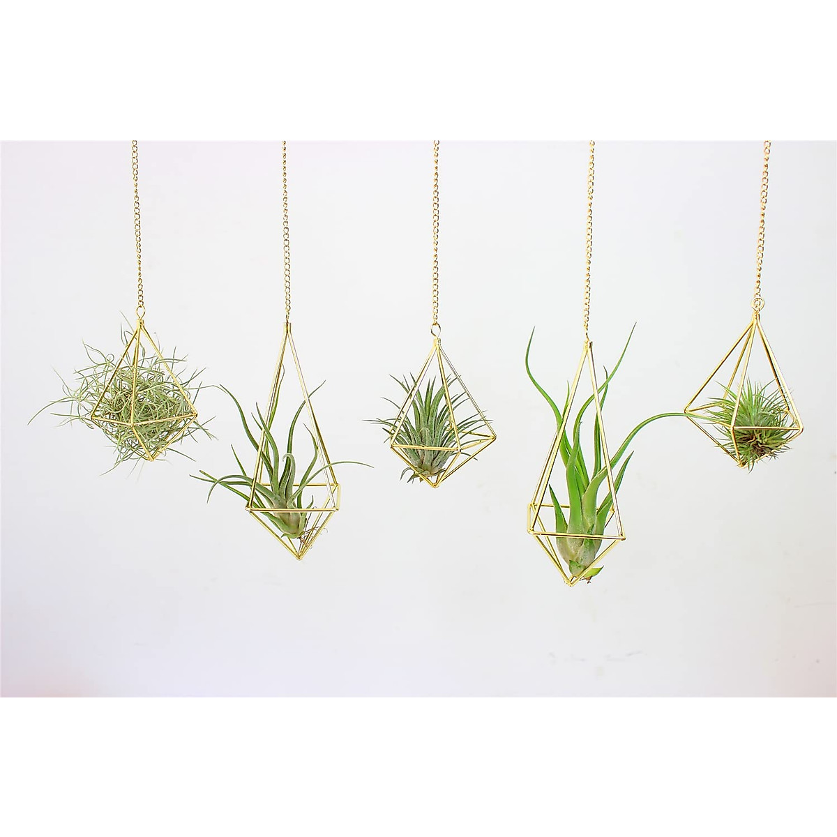 Geometric Hanging Tillandsia Holder Gold Metal Air Plants Holders Hanging for House Decor Living Room,Small Plant Holders Indoor Hanging,Plant Lover Gifts (5Pcs)