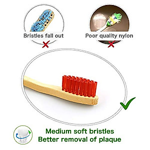 Virgin Forest Bamboo Toothbrush, Natural Eco Friendly Wood Toothbrushes, Biodegradable Charcoal Tooth Brush, Pack of 6