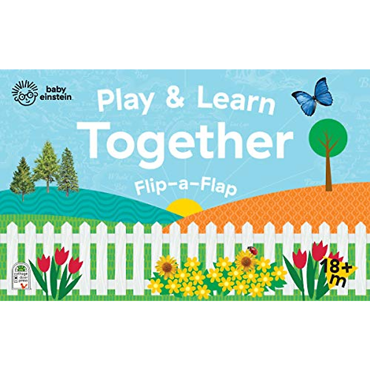 Baby Einstein Play & Learn Together (Flip a Flap Board Book)