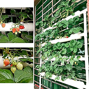WEPLANT Hydroponic NFT 36 Holes Growing System with Special Fertilizer Timing Cycle, PVC Pipe Garden Plant Kit