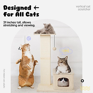 Small Cat Tree, 31 Inches Tall Cat Scratching Post with Perch & Condo, Natural Woven Sisal Cat Post Sctacher, Kitten Scratching Posts for Indoor Cats, Cat Scratch Tower with Fluffy Ball, Beige