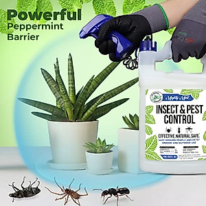Mighty Mint Gallon (128 oz) Insect and Pest Control Peppermint Oil - Natural Spray for Spiders, Ants, and More