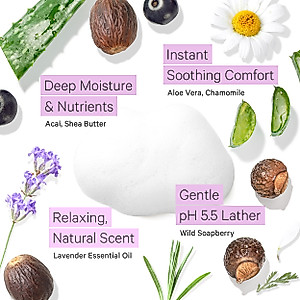 Tree to Tub Sensitive Skin Face Wash for Dry Skin - Moisturizing Gentle Face Cleanser for Women & Men, Hydrating Foaming Facial Cleanser, Daily Face Soap w/Organic Aloe Vera, All Natural Lavender Oil