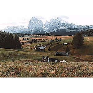 Tamron 17-70mm f/2.8 Di III-A VC RXD Lens for Sony E APS-C Mirrorless Cameras