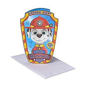 American Greetings Kids Birthday Card (Paw Patrol)