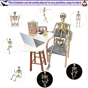 HBSTK 5.5Ft/65 Inches /165cm Pose-N-Stay Halloween Skeleton Life Size Full Body Posable Movable Jonints with 200sqft Strech Cobweb and 50 Small Fake Spiders for Halloween Decoration Decor
