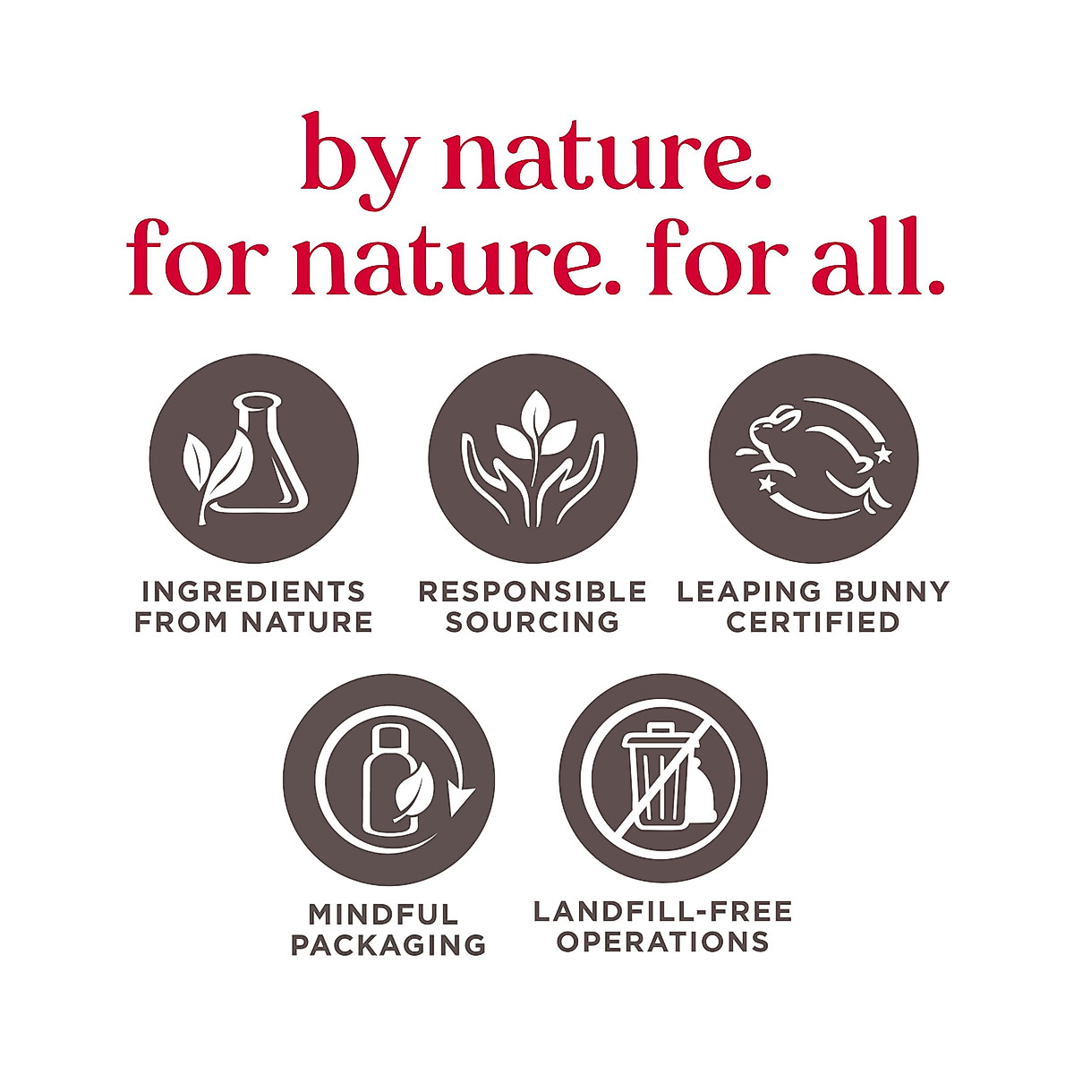 Burt's Bees Lip Balm - Pomegranate, Lip Moisturizer With Responsibly Sourced Beeswax, Tint-Free, Natural Origin Conditioning Treatment, 2 Tubes, 0.15 oz.