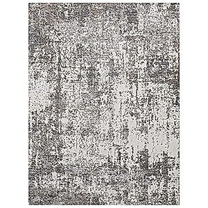 Amer Rugs Area Rug - Room Rug for Farmhouse, Living Room, Bedroom, Kitchen & Home Decor - Luxury Polyester & Polypropylene Power Loom Carpet - Boho, Persian, Oriental, Classic, Vintage & Industrial
