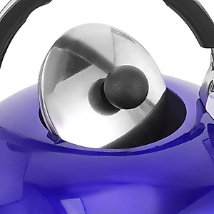 BESTonZON Whistling Tea Kettle Tea Bottle Stainless Steel Stovetop Teapot 4L Camping Water Kettle Kitchen Coffee Kettle Metal Water Pot with Cool Handle for Home Office Blue