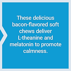 Life Extension Dog Stress & Behavior Soft Chews - Calming Dog Health Supplement - Promotes Relaxation, Calm Behavior and Stress Relief - Melatonin and L-theanine -120 Soft Chews, Bacon Flavor