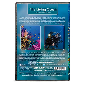 Underwater DVD- The Living Ocean - Relaxing Scenes of the Underwater World