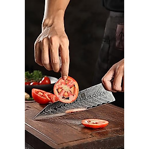 XINZUO 5-piece Damuscus Kitchen Knife Set,67 Layer Hand Forged Damascus Steel Professional Chef Knife Set with Gift Box, G10 Black Handle,Razor Sharp-Feng Series