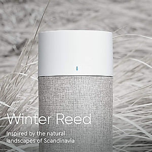 BLUEAIR Blue Pure 411 Auto Light Gray Pre-filter, Washable Fabric Traps Pollen, Pet Hair & Dust, Winter Reed