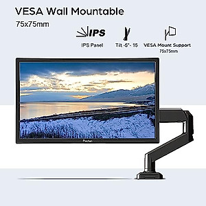 Prechen 24 Inch Computer Monitor 75Hz PC Display, FHD 1920 x 1080P Business Screen LED Desktop Monitor with HDMI and VGA Ports, 99% sRGB, 3000:1, VESA Compatible, Eye Care, Black