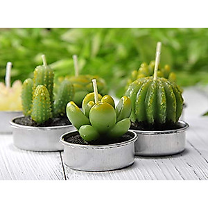 LA BELLEFÉE Tea lights Candles Gift Set, Cactus Terrarium Candle Delicate Succulent Handmade Cute Small Candles for Home Plant Gifts, Party Wedding Mothers Day Valentines Day Gifts Decoration(6 Packs)