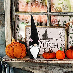 Upltowtme Black Cat Gnome Swedish Tomte Cat Gnome Decorations Collectible Figurines Gnome Plush Spring Summer Farmhouse Home Gift Decor