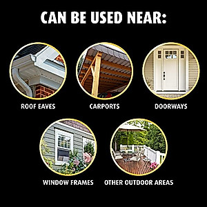 Ortho Home Defense Hornet & Wasp Killer with Entrapping Foam and Jet Spray, 16 oz. (2-Pack)