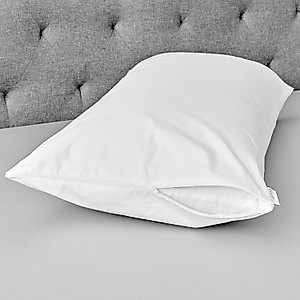 Aller-Ease Hot Water Washable Hypoallergenic Zippered Pillow Protectors, Allergist Recommended, Prevent Collection of Dust Mites and Other Allergens, Standard/Queen Sized, 2 count (Pack of 2), White