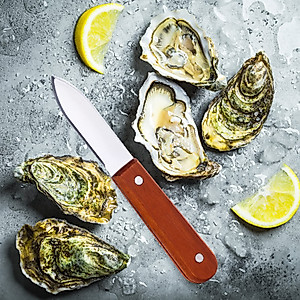 ModaSin Oyster Shucking Knives and Gloves Set, Oyster Clam Shucker Opener Opening Knife Kit, Set of 4 PCS Oyster Knives & 1 Pair of Gloves(XL)