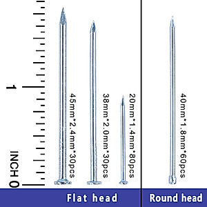 Coceca 200 Pack Hardware Nails for Hanging Pictures, 4 Size Zinc Tiny Nail Assorted Kit, Picture Nail, Small Nails, Finishing Nail, Wall Nails and Galvanized Nails for Wood