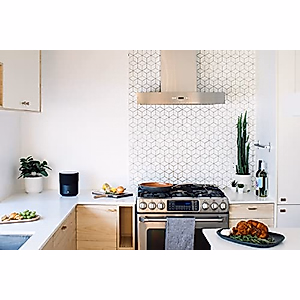 Bluesound Pulse M Omni-Hybrid Wireless Music Streaming Speaker with Bluetooth - Black - Compatible with Alexa and Siri