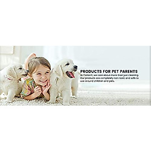 Fizzion Pet Stain and Odor Extra Strength Eliminator (10 Tablets, Extra Strength)