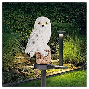 Owl Solar Garden Lights,Owl decor Garden Solar Light Outdoor Decor,Owl Path LED Lights,Solar Animal Lights,Outdoor Solar Garden Stake Light,Garden Statue Solar Light for Yard Housewarming Gift