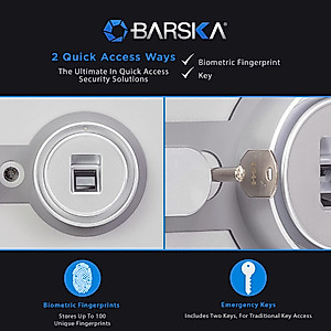 Barska AX13494 Biometric Fireproof Safe 1.64 Cu Ft Metallic Grey with Long Locking Bolts, Gray, Medium