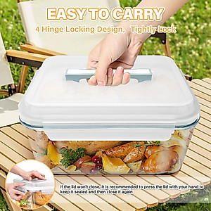 Extra Large Glass Storage Containers with Lids Airtight: Big Glass Containers with Lids - 220oz/28cup - XL Glass Rotisserie Chicken Container - Storing food Fruits Salads Free Oven Safe (Extra Large)